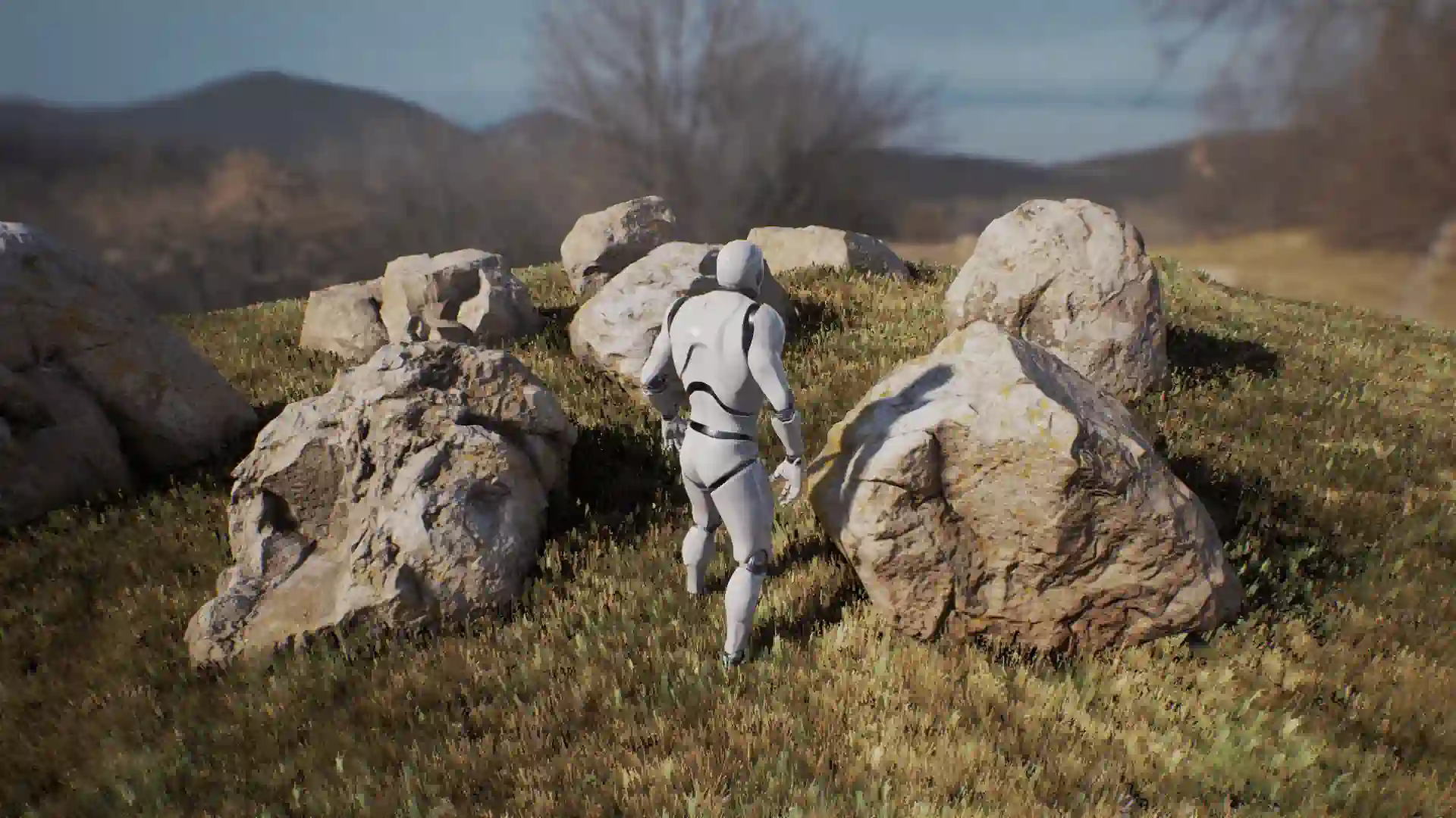 RealiScan Photogrammetry Boulders 4.26 | Game Assets Free